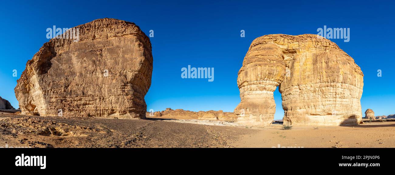 Sandstone elephant rock erosion monolith standing in the desert, Al Ula ...