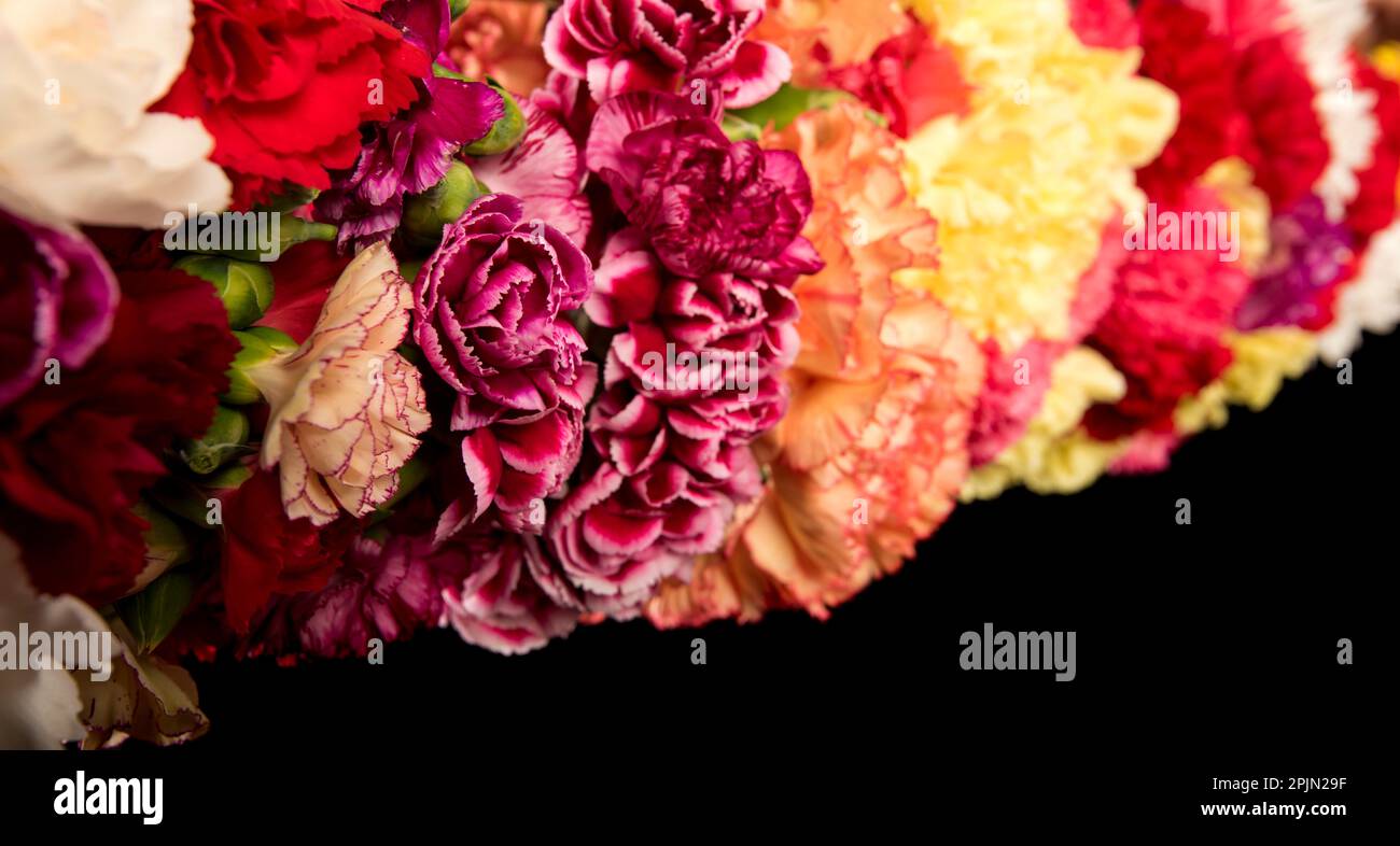 pictures of dog sesion kukur tihar stile Stock Photo - Alamy