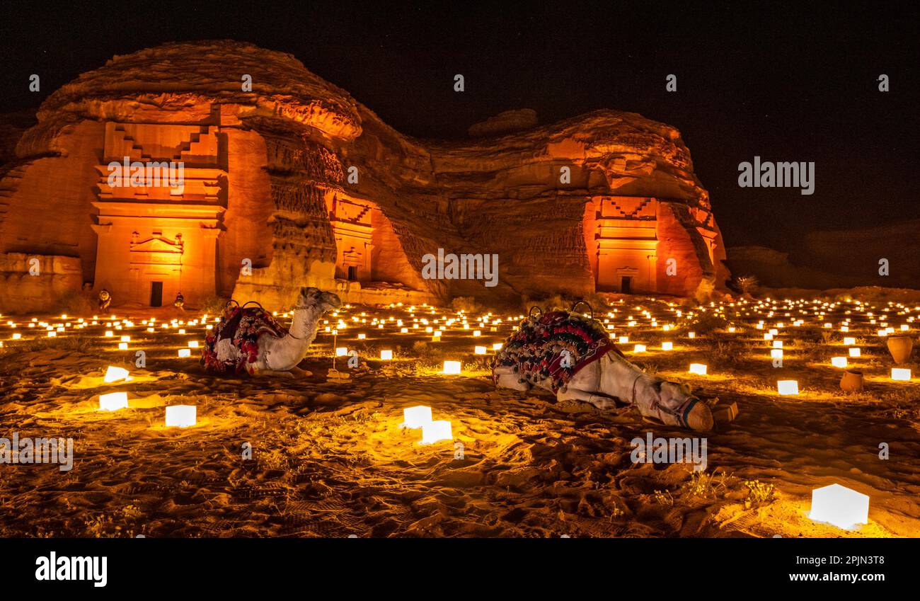 Camels laying in front of ancient tombs of Hegra city illuminated ...