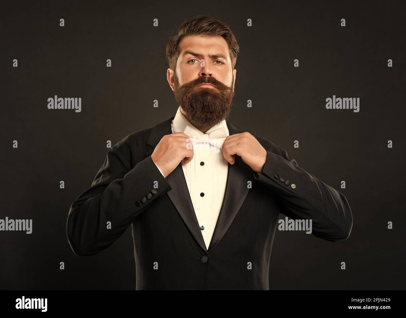 bearded groom in tuxedo on black background, bow tie Stock Photo - Alamy