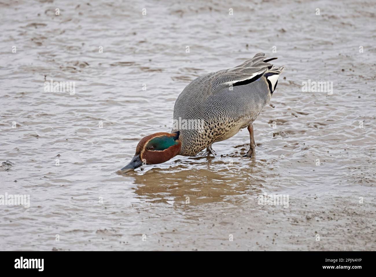 Teal reserve hi-res stock photography and images - Alamy