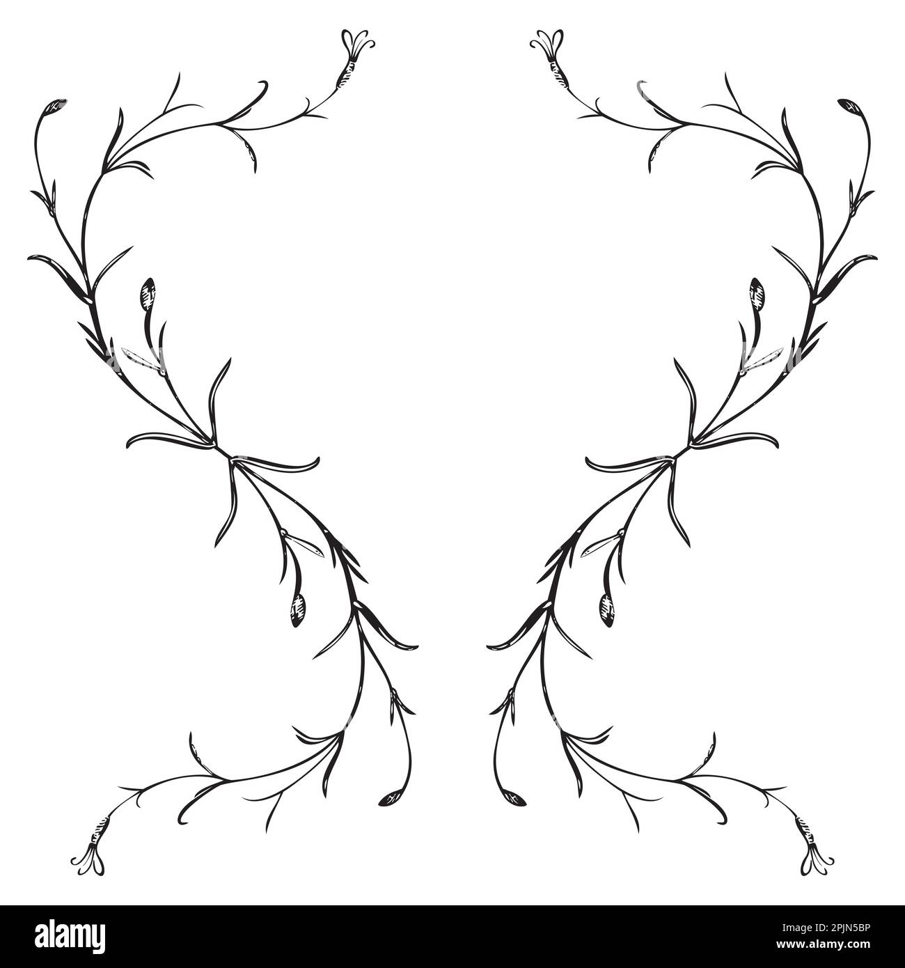 Botanical hand drawn plant, bouquet isolated on background. Spring ...
