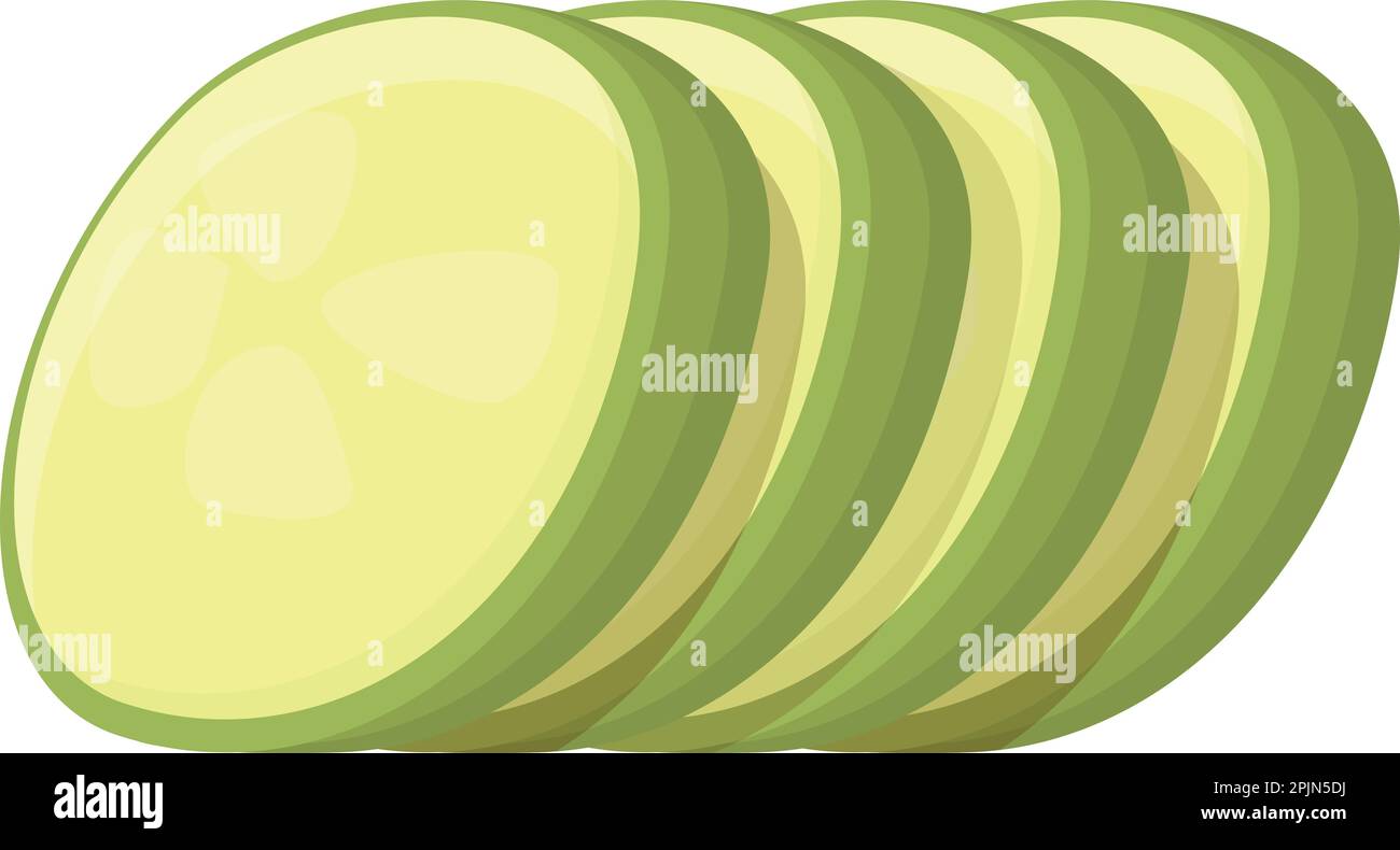 Cutted vegetable icon cartoon vector. Squash agriculture. Plant garden ...