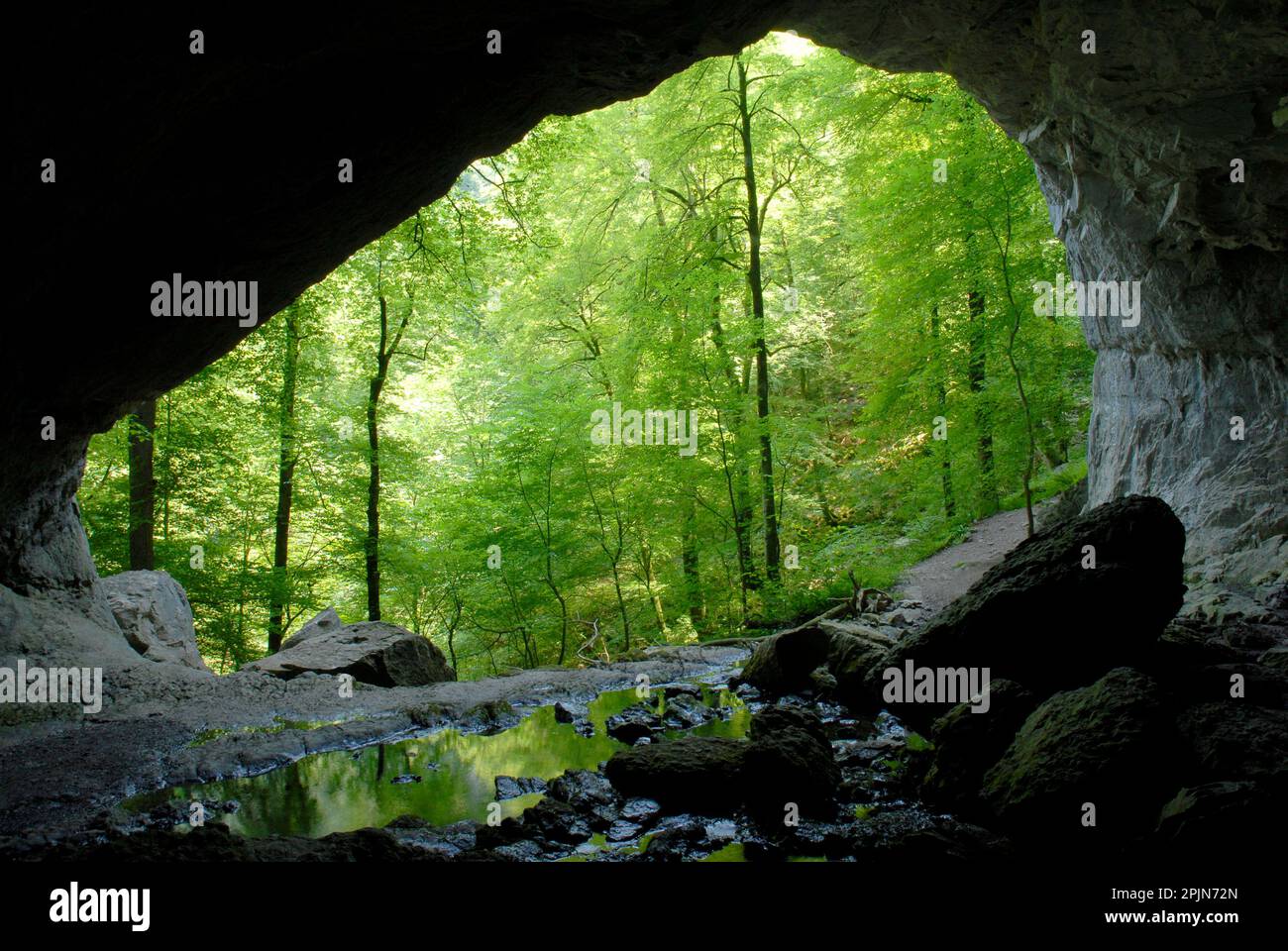 Source of the La Bidouze river in the French Basque Pyrenees. France ...