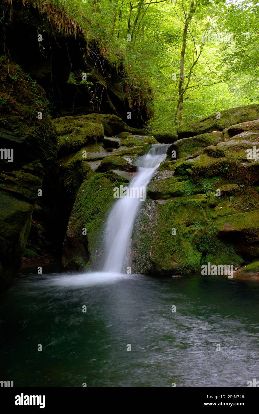 Waterfall at the source of the La Bidouze river in the French Basque ...