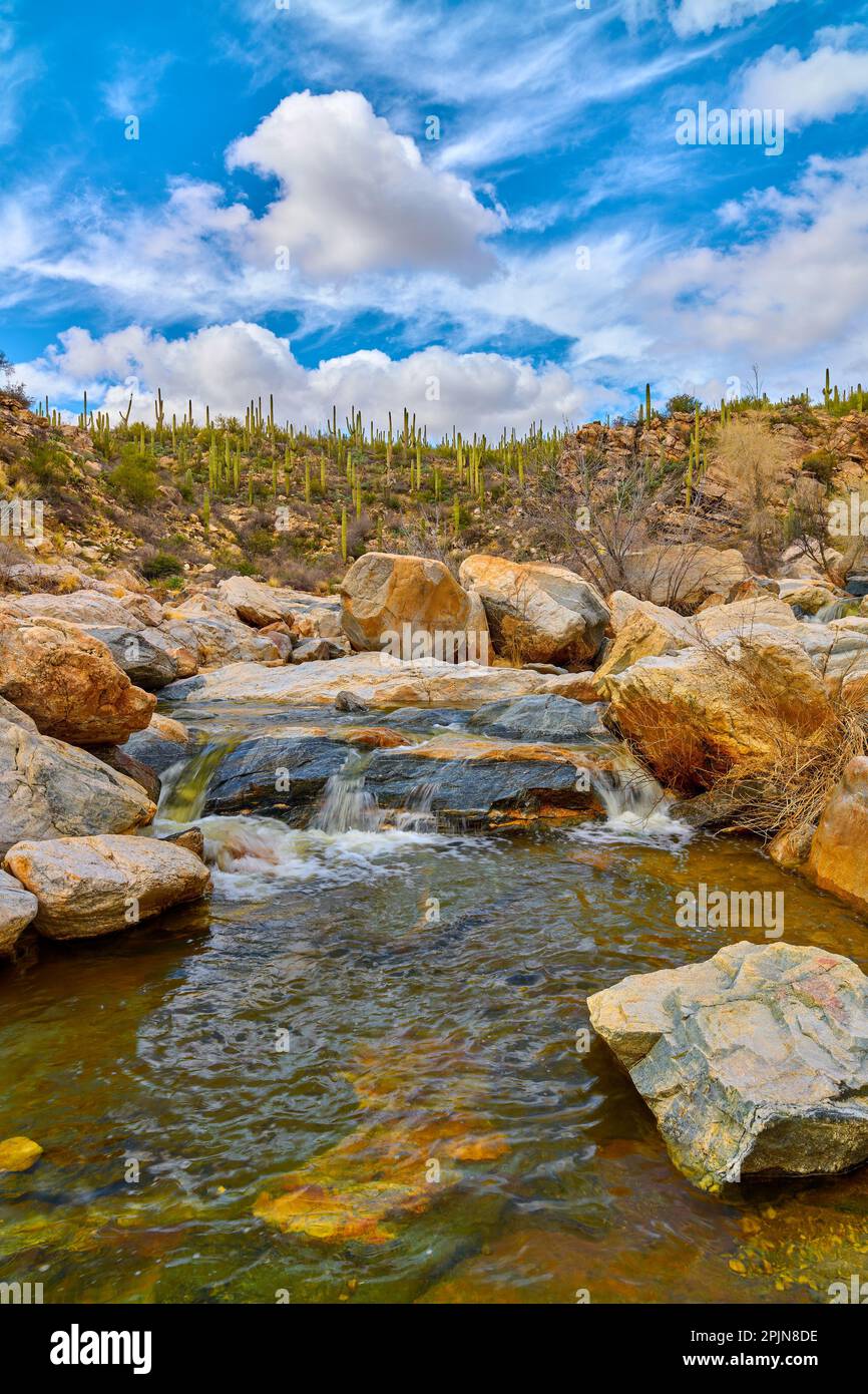 Small fall along Tanque Verde Creek in the Coronado National Forest ...