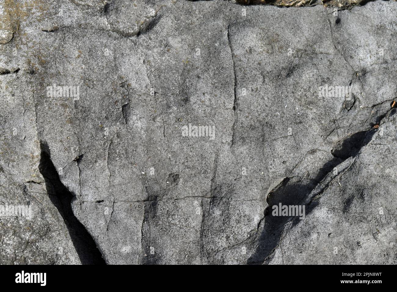 Jurassic (Kimmeridgian) oolitic limestone, about 155 Mya Stock Photo ...