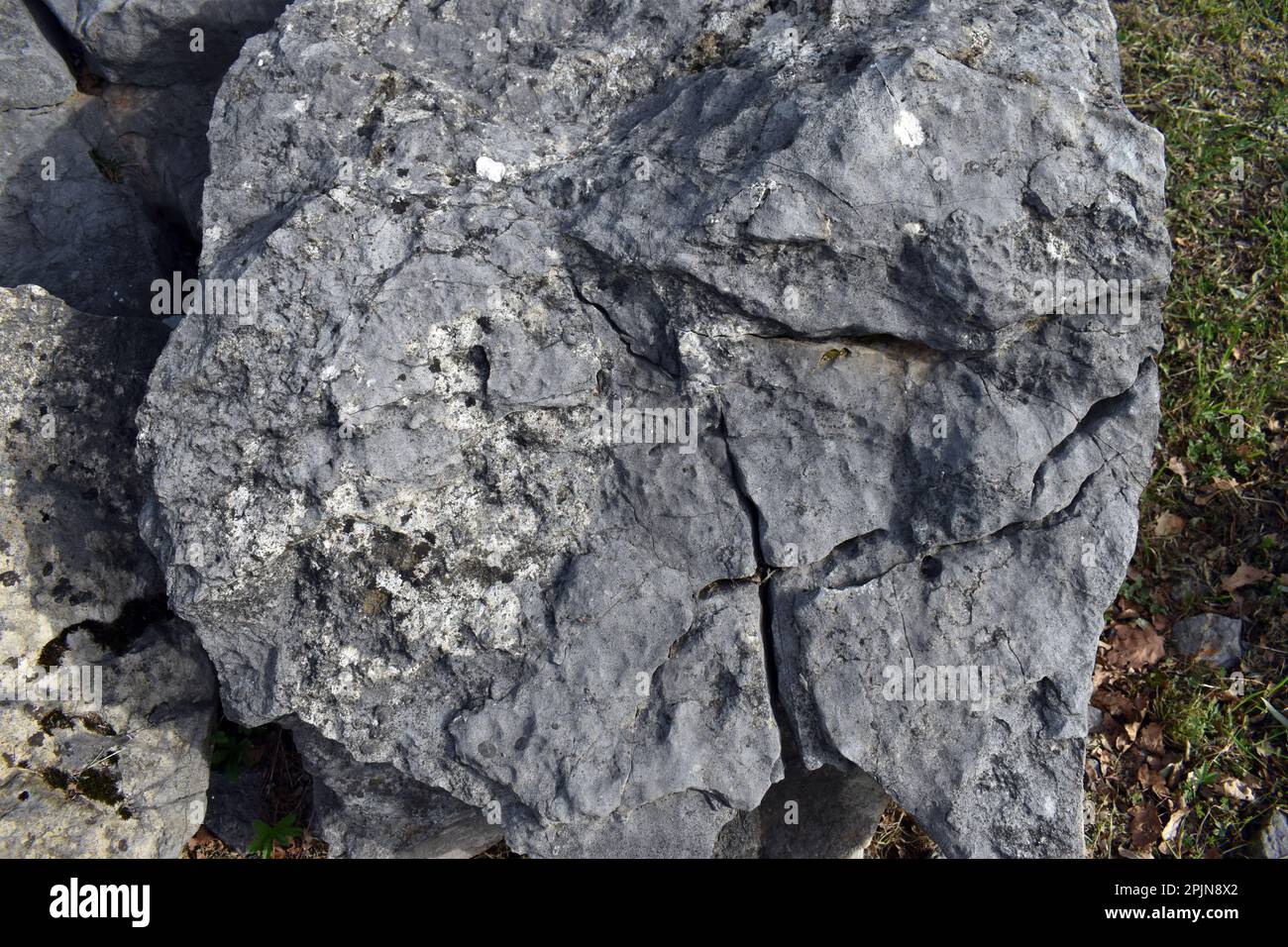 Jurassic (Kimmeridgian) oolitic limestone, about 155 Mya Stock Photo ...