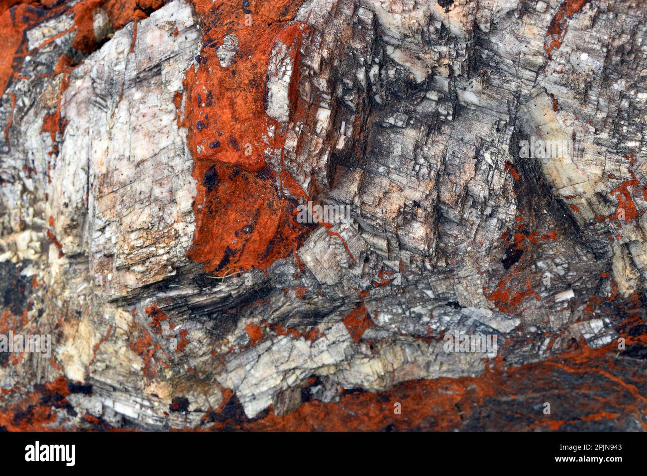 Siderite, iron ore, embedded in calcite.Cretaceous. Lower Aptian. 119 ...