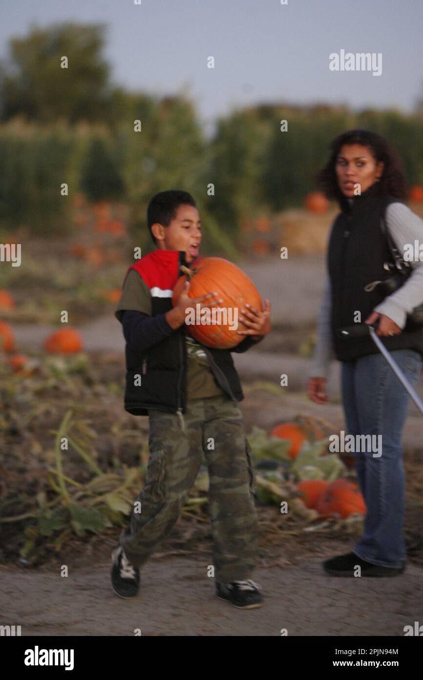 cornmaze 257 ls.jpg From left: Erik Echeona, 9, carries a pumpkin over ...