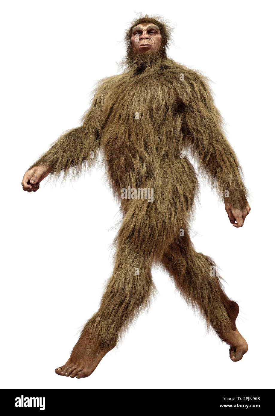 3D rendering of a Sasquatch or Bigfoot isolated on white background ...