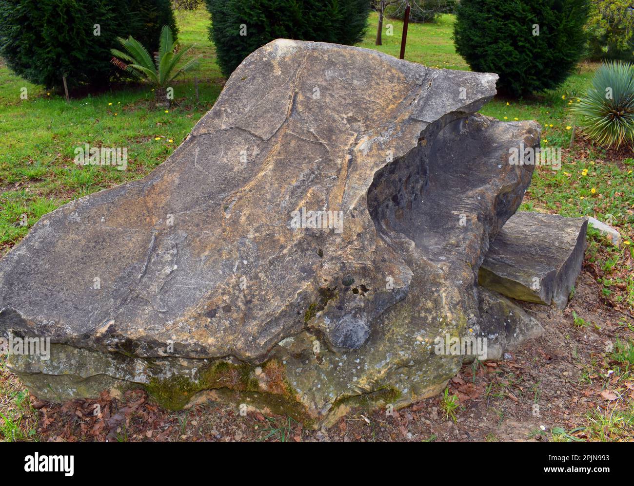 Limestone in turbiditic facies. Eocene, Lutecian. 4 Mya. Rocks ...