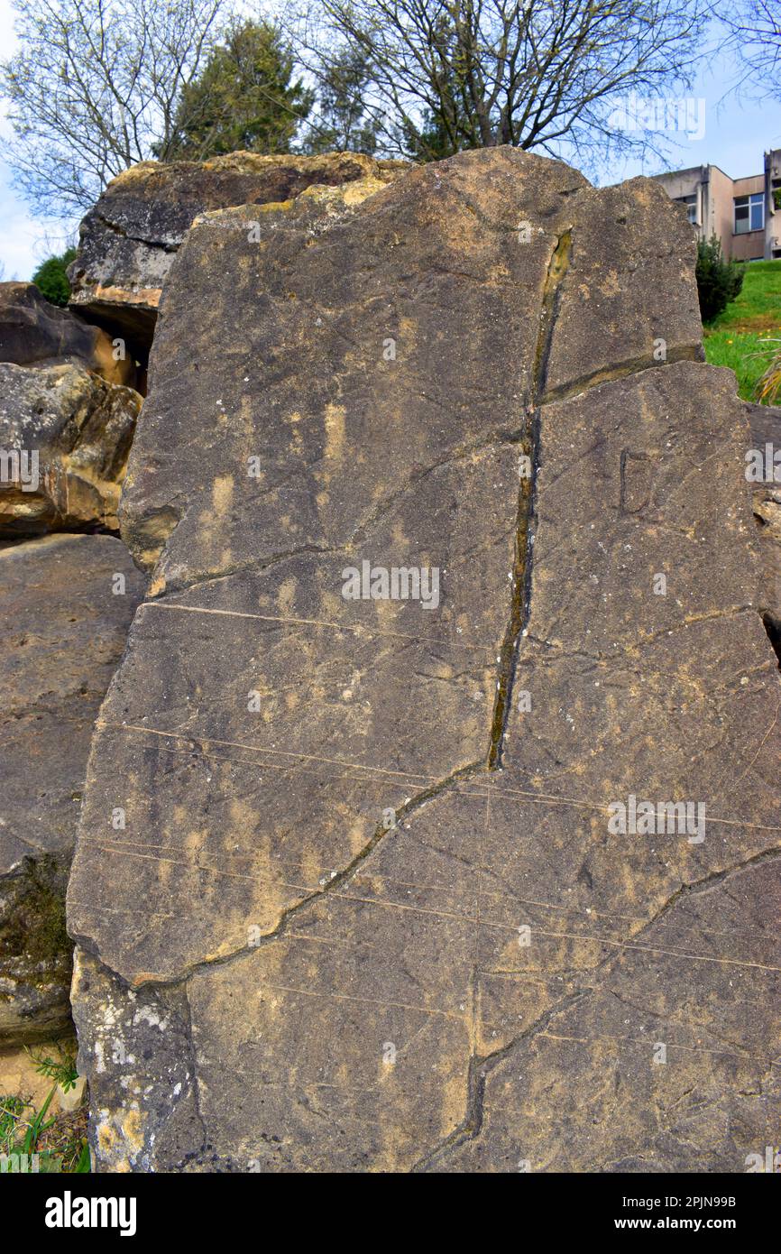 Limestone in turbiditic facies. Eocene, Lutecian. 4 Mya. Rocks ...