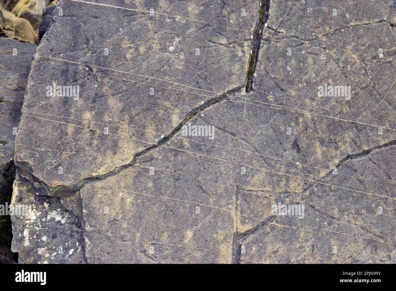 Limestone in turbiditic facies. Eocene, Lutecian. 4 Mya Stock Photo - Alamy