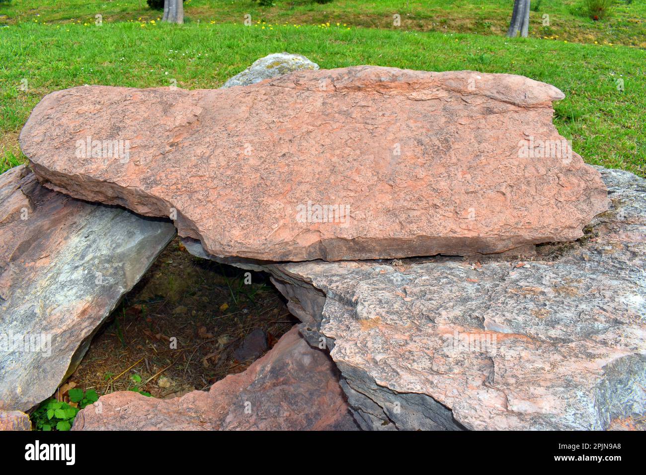 Pink limestone called Caliza del Dan s. Paleocene. 63 Mya. Rocks ...