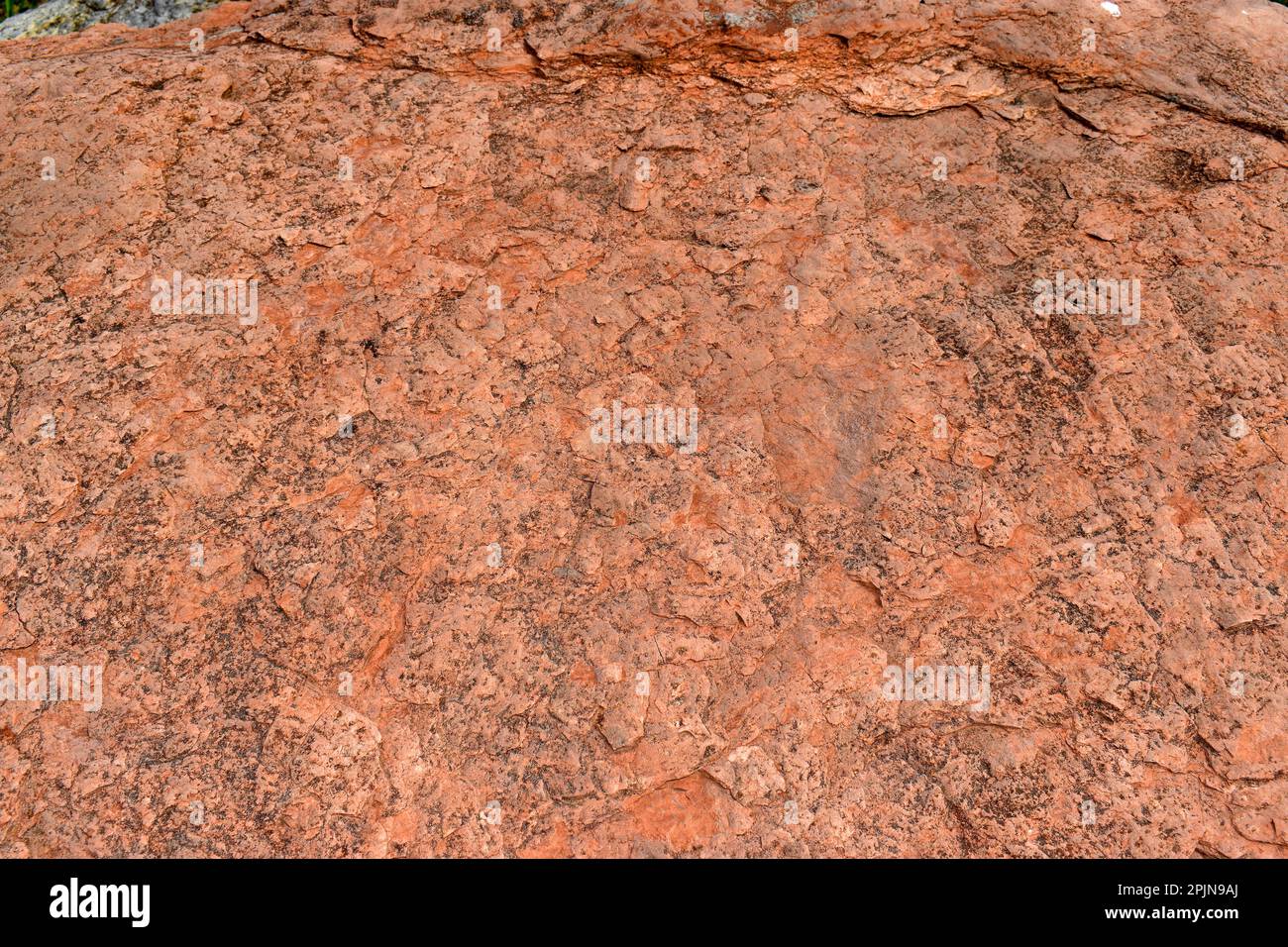 Pink limestone called Caliza del Dan s. Paleocene. 63 Mya Stock Photo ...