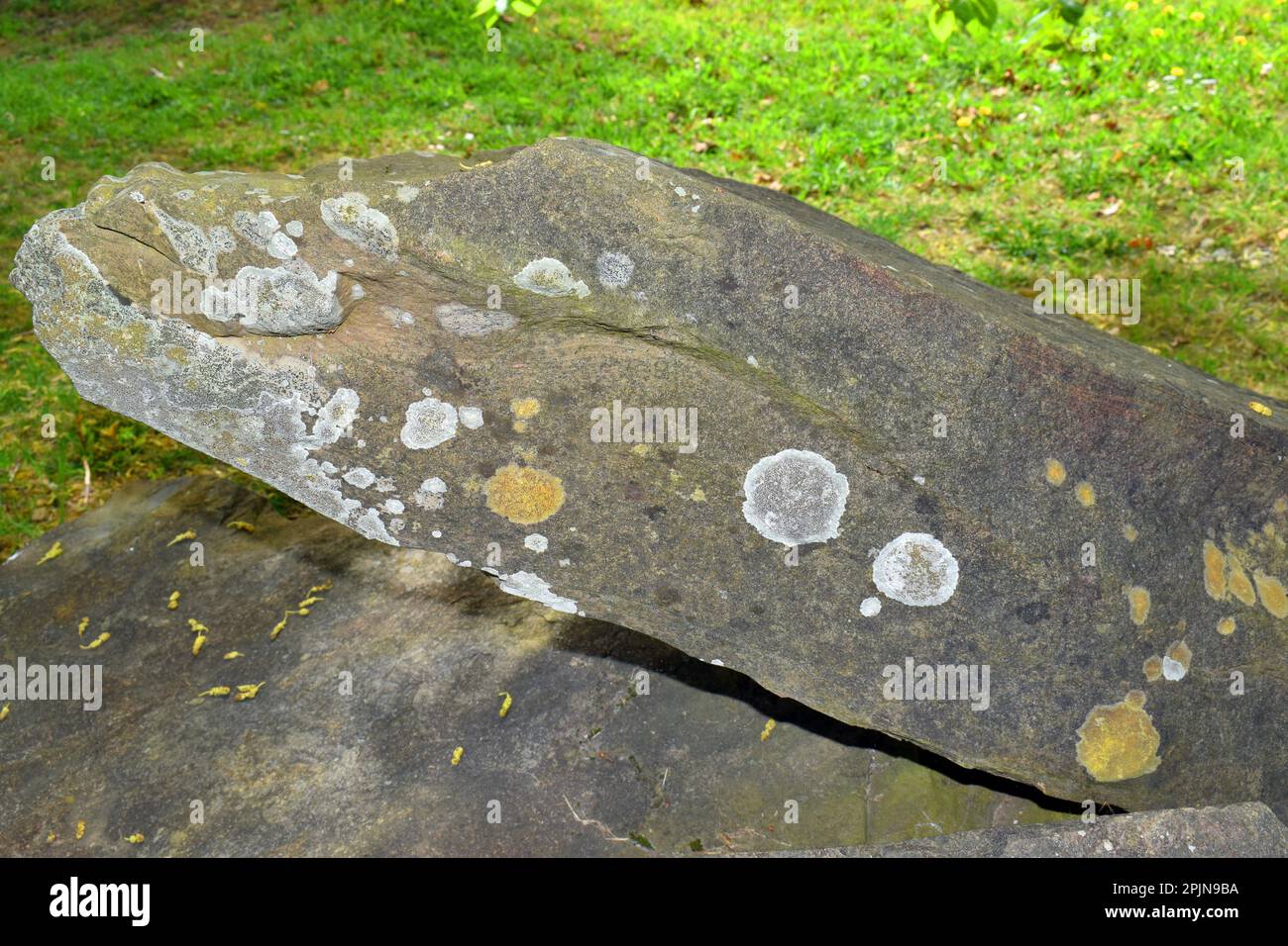 Cretaceous sedimentary rocks hi-res stock photography and images - Alamy