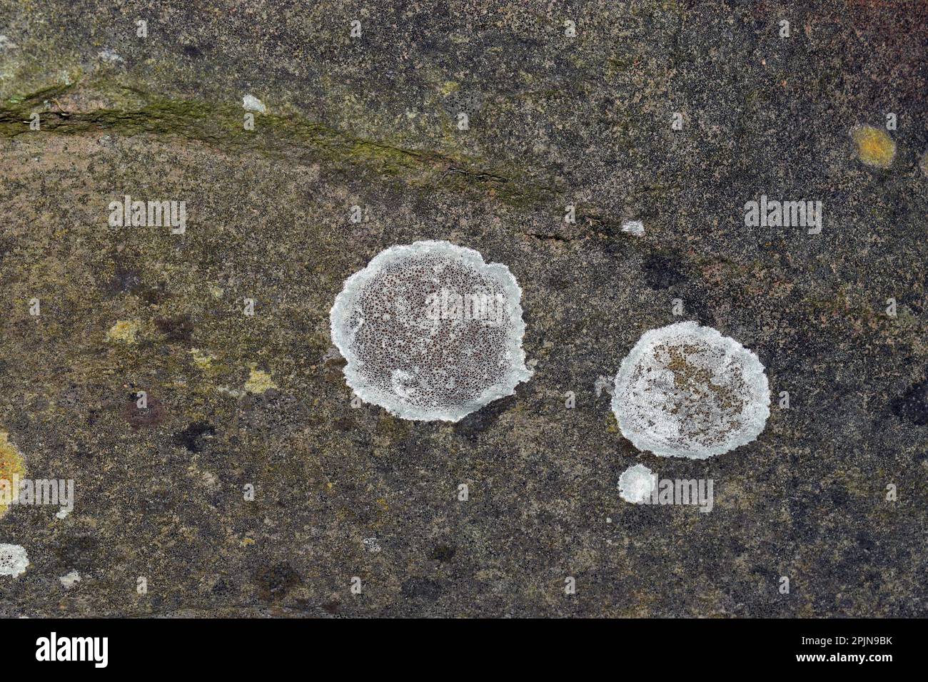 Calcareous sandstone hi-res stock photography and images - Alamy