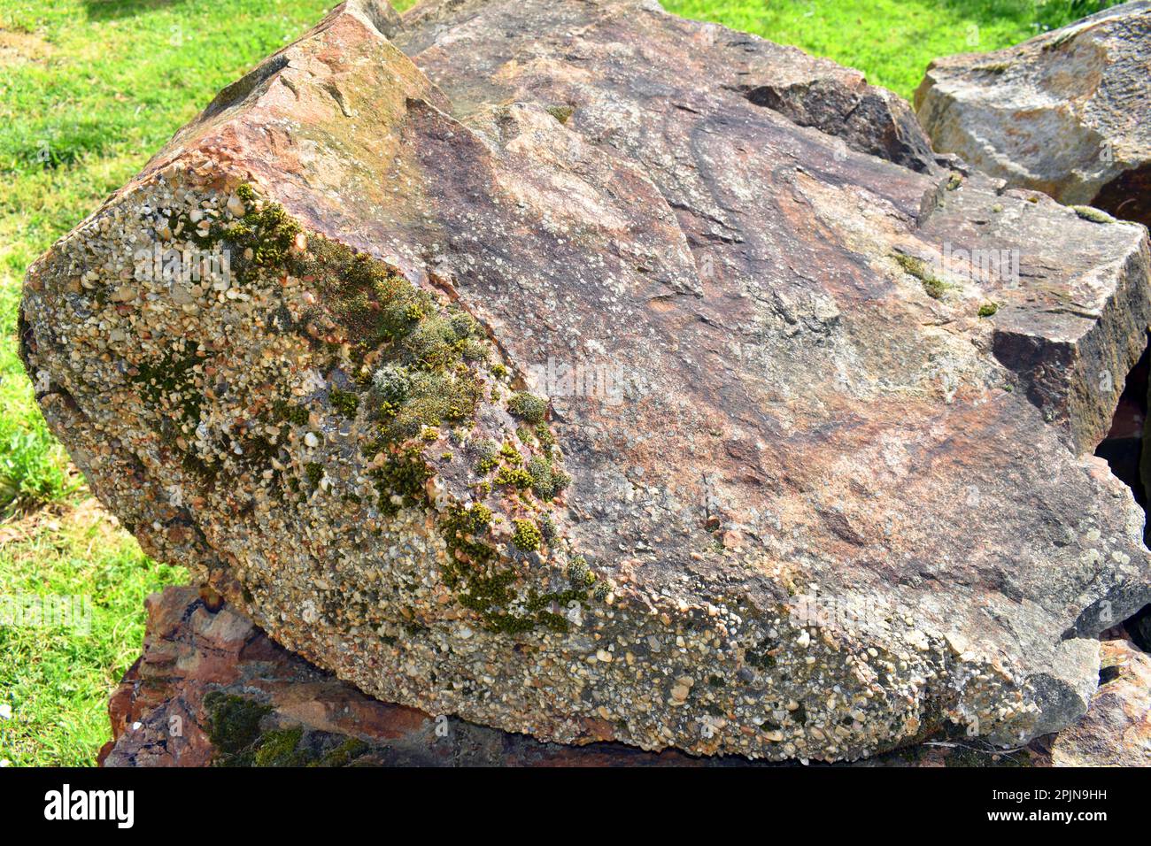Conglomerates rock texture hi-res stock photography and images - Alamy