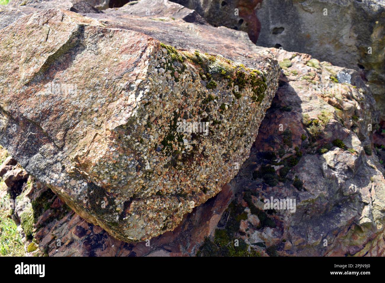 Conglomerates rock texture hi-res stock photography and images - Alamy