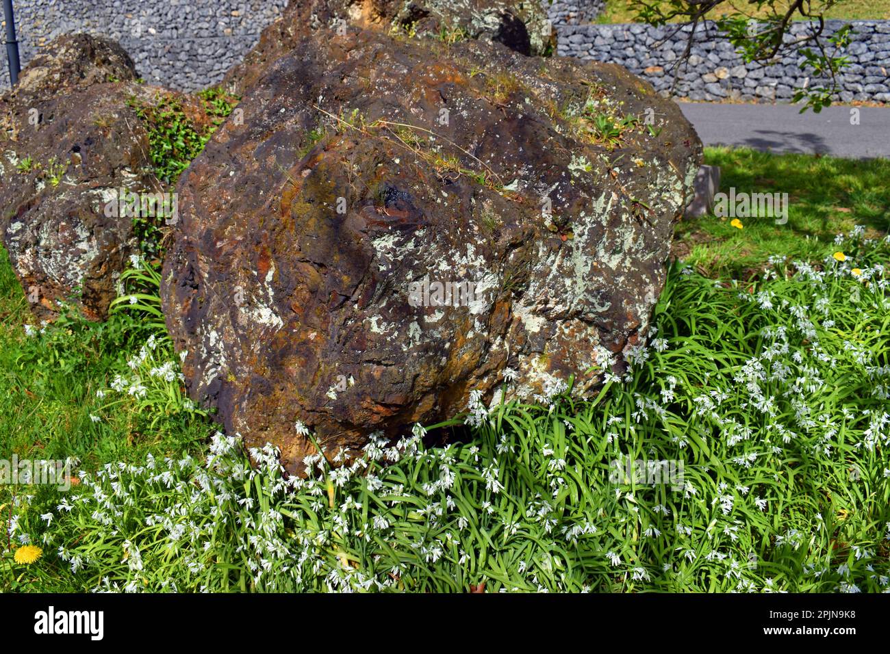 Rock formed by goethite, an iron oxyhydroxide. Rocks installed in a ...