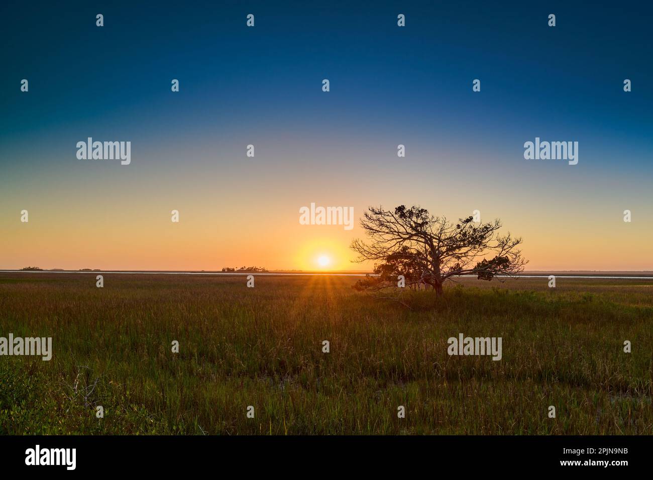 Sunset over marsh grass near hunting island state park in south ...