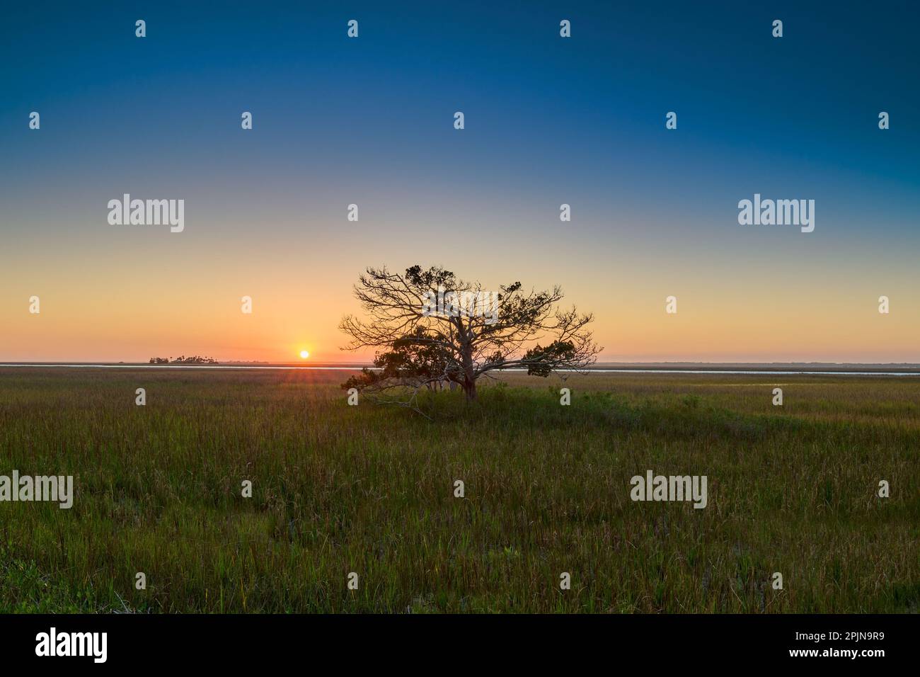 Sunset over marsh grass near hunting island state park in south ...