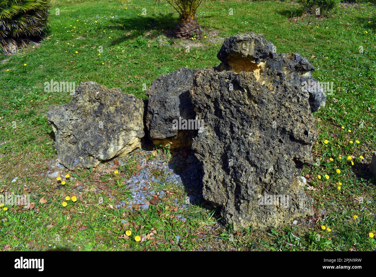 Mya mineral hi-res stock photography and images - Alamy