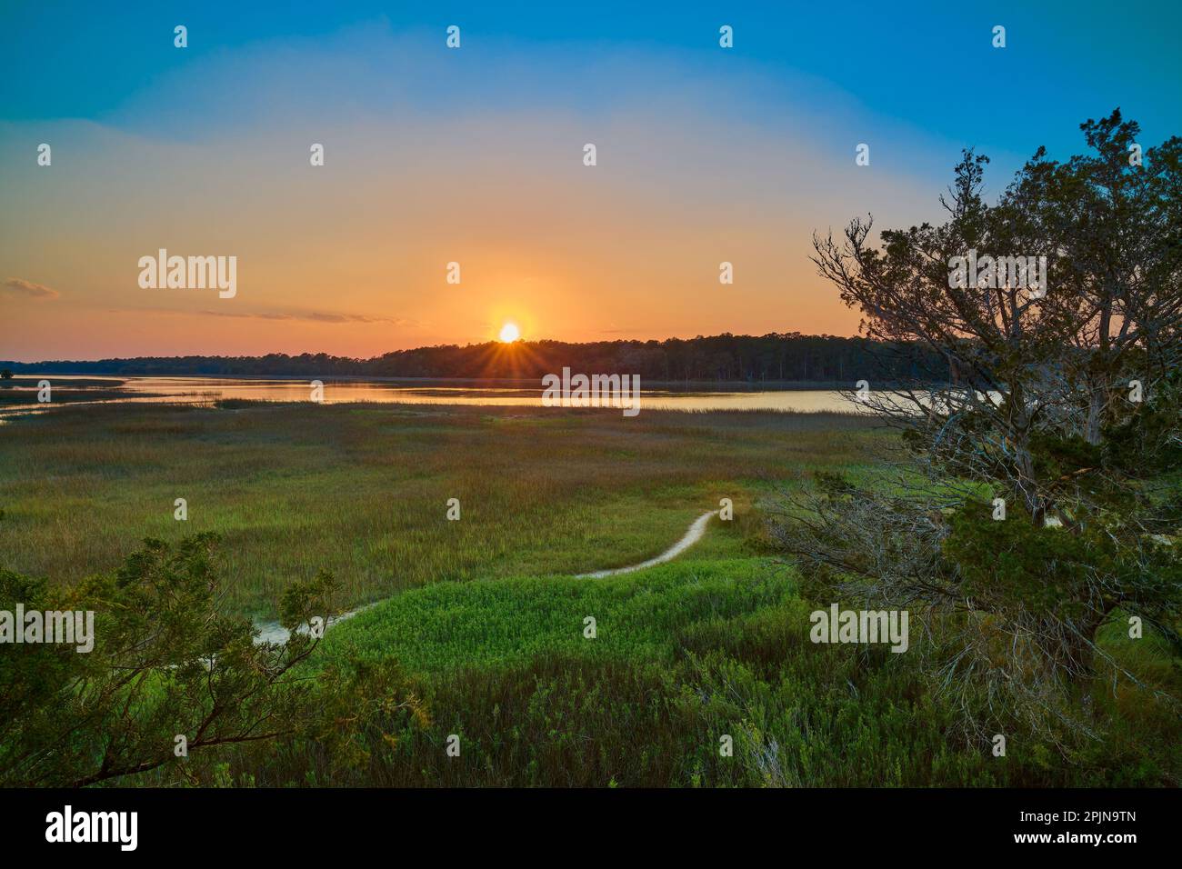 Skidaway island observation tower hi-res stock photography and images ...