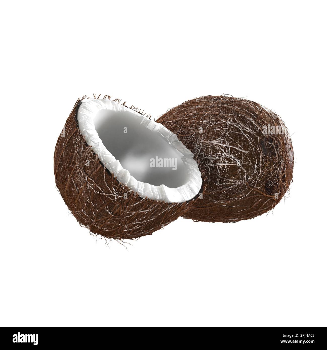 A 3d rendering of Two coconuts lying side by side on a white background ...