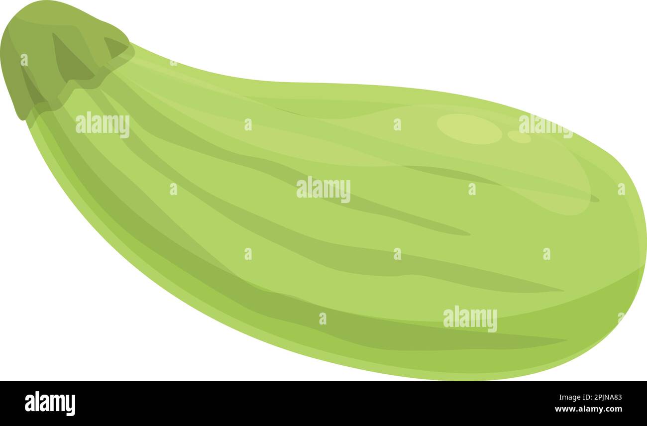 Organic squash icon cartoon vector. Vegetable agriculture. Green plant ...