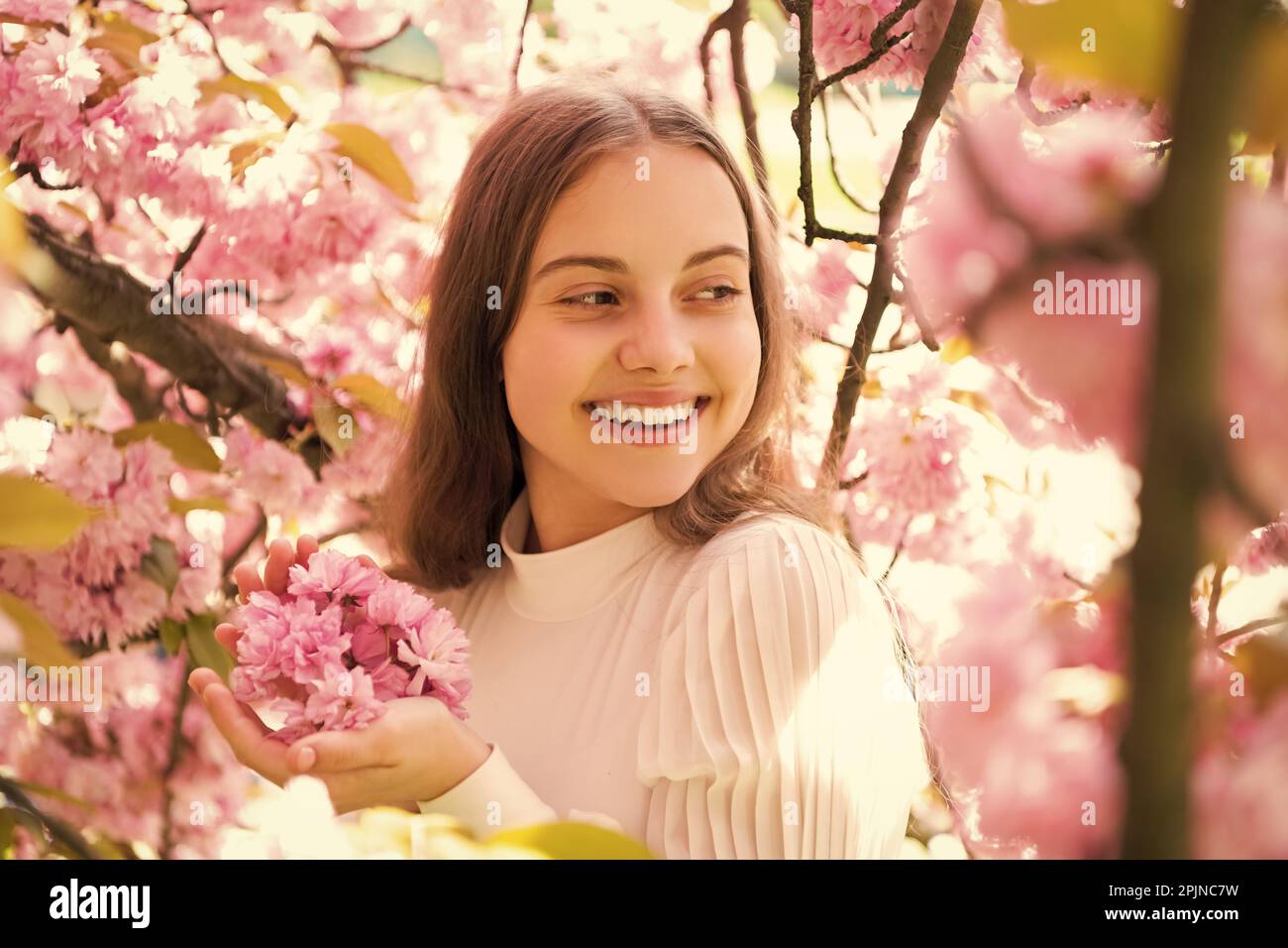 happy teen girl at sakura flower bloom in spring Stock Photo - Alamy