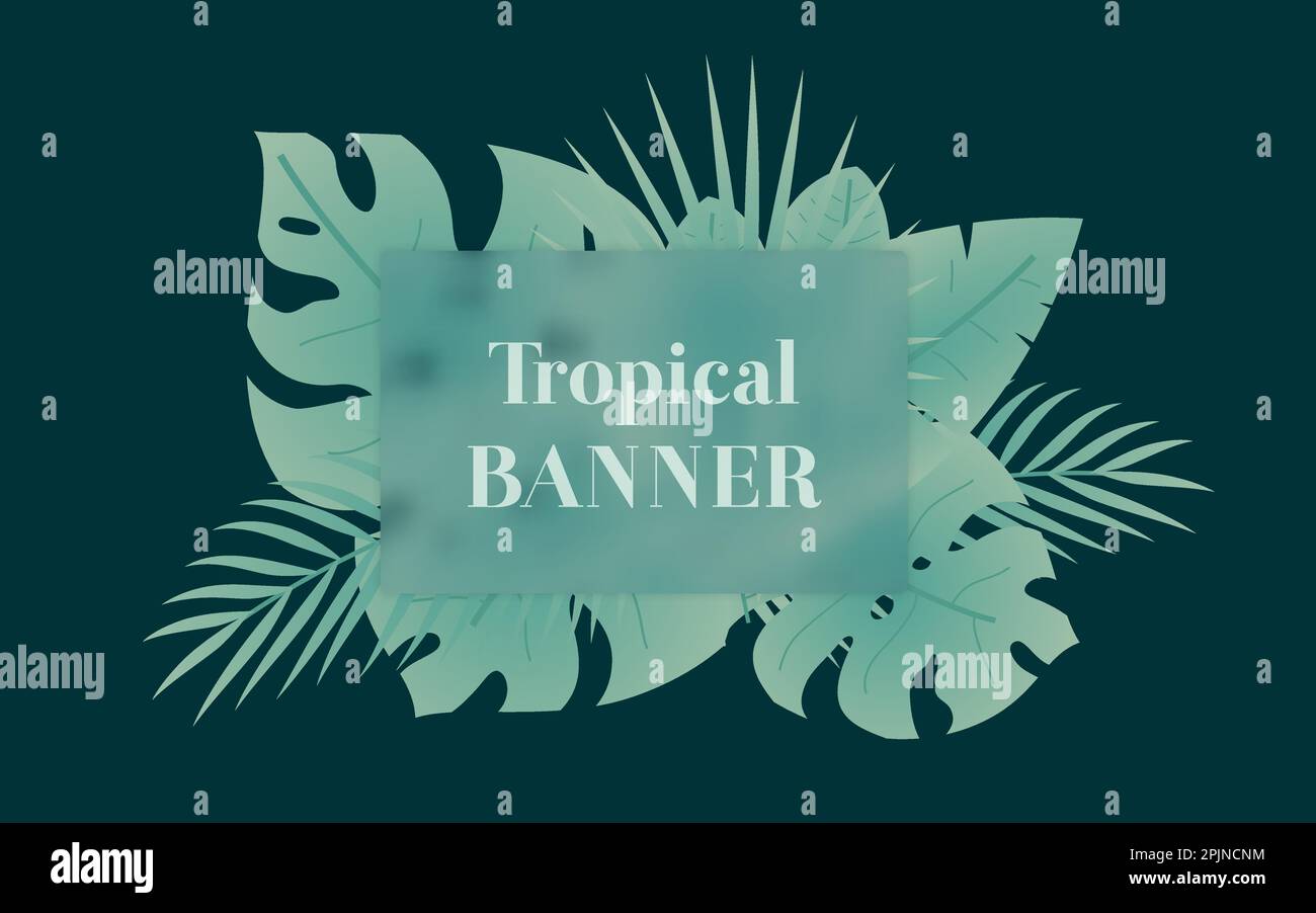 Tropical banner with palm leaves. Glass morphism style banner. Tropical ...