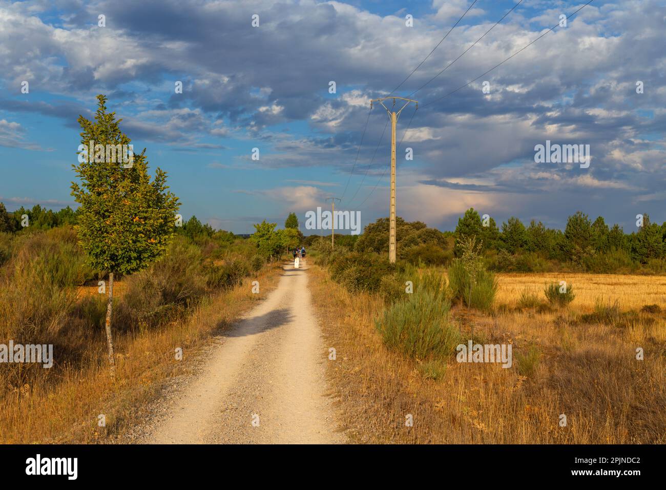Navarre, Spain, 26 August, 2022: Pilgrims walk along the Camino De ...