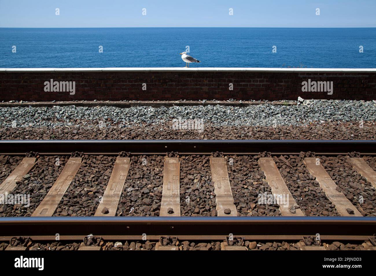 A seagull rests beside the coastal Cinque Terre express railway line at ...