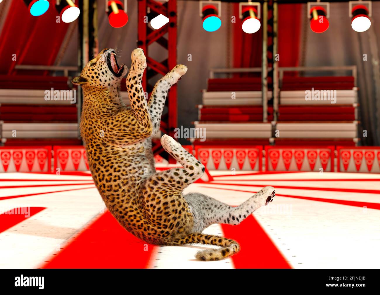3D rendering of a big cat leopard on a circus stage Stock Photo - Alamy
