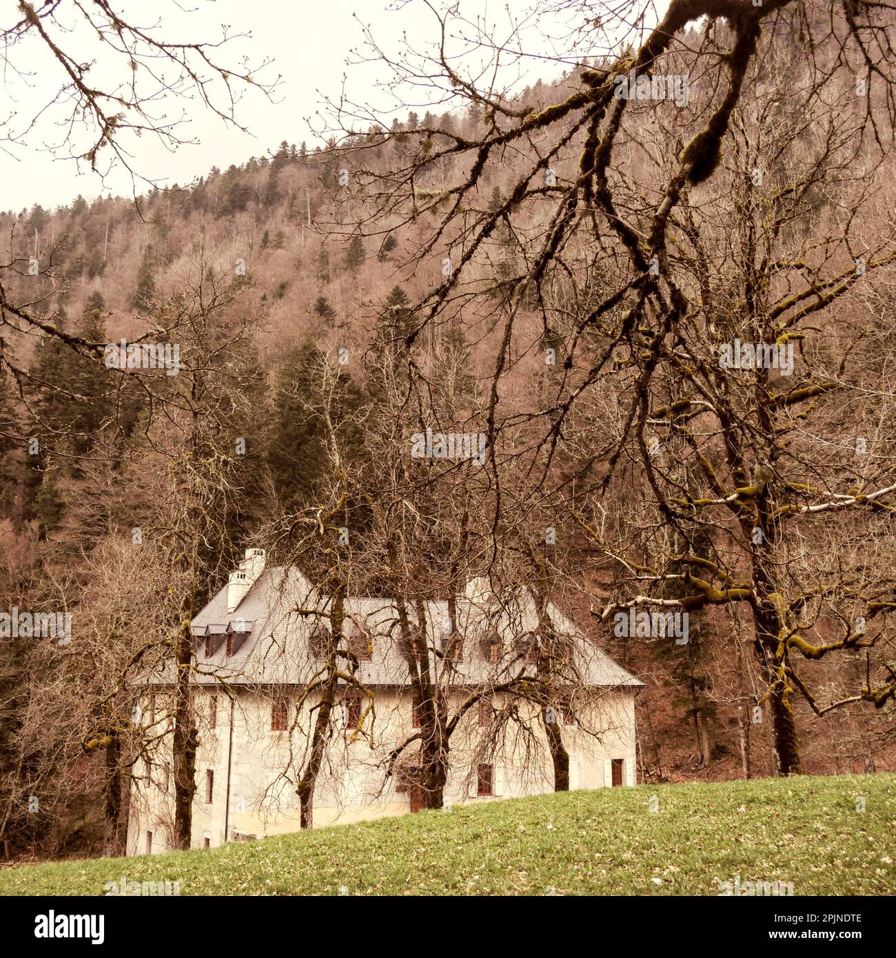 Foret de la grande chartreuse hi-res stock photography and images - Alamy