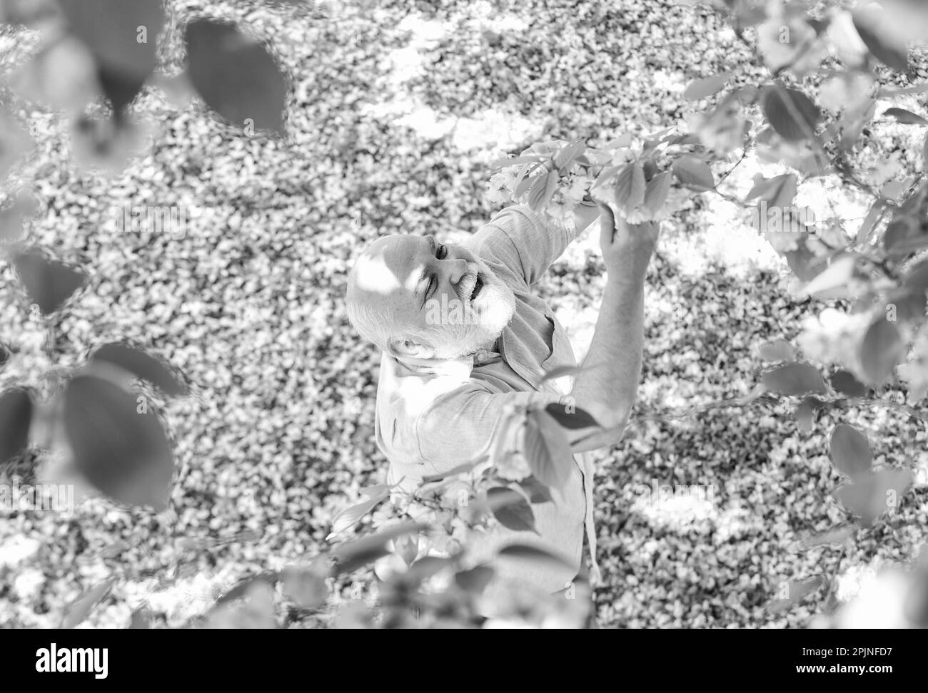 man enjoying smell. happy retirement. grandfather smiling while ...