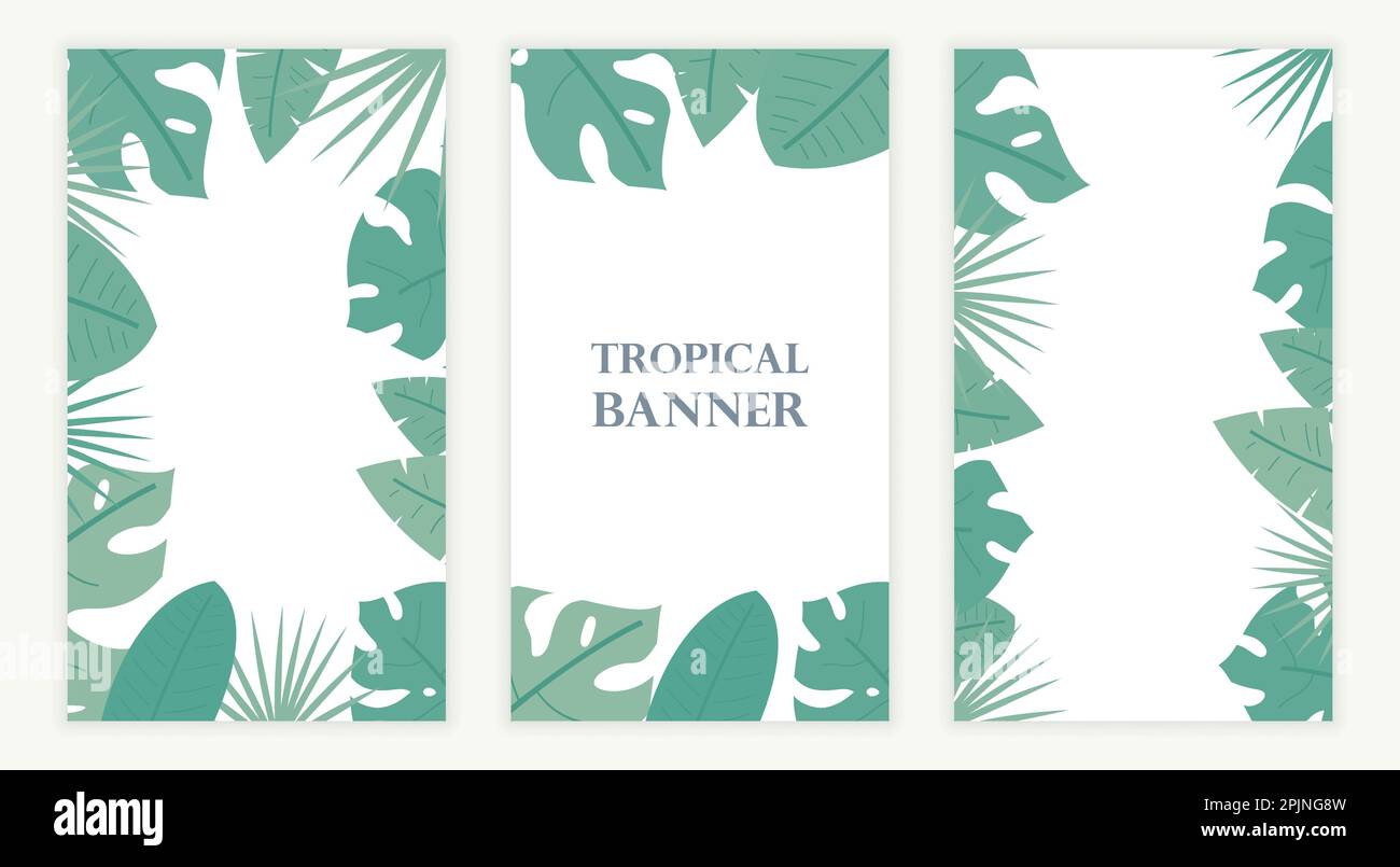 Tropical banner with palm, monstera, banana leaves. Glass morphism ...