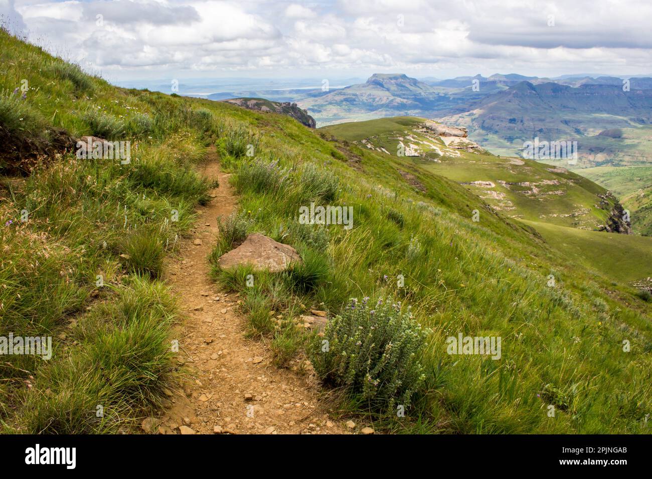 A hiking trail going through the steep afromontane grassland of the ...
