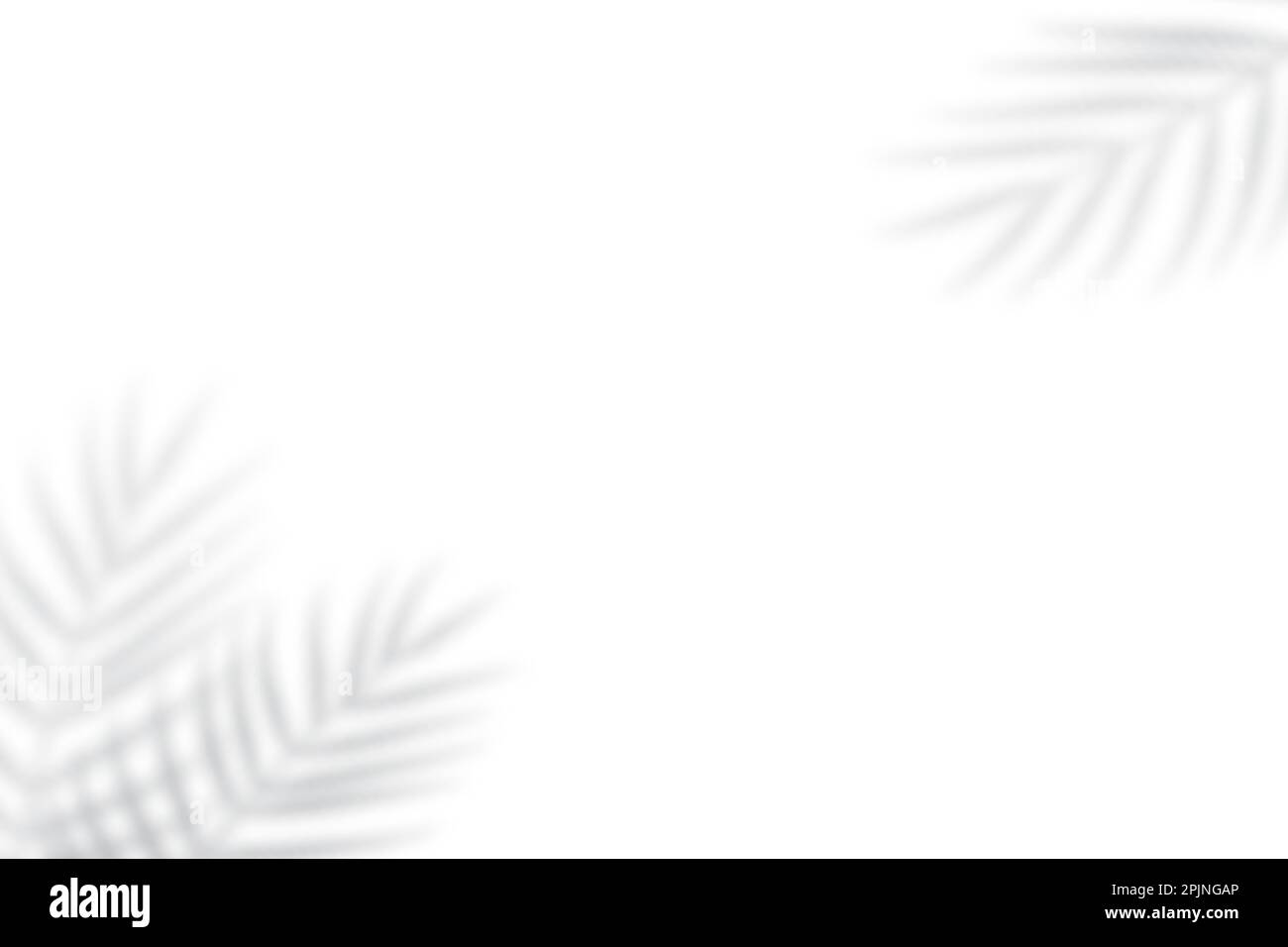 Palm leaf shadow overlay. Tropical blurred leaf. Light overlay ...