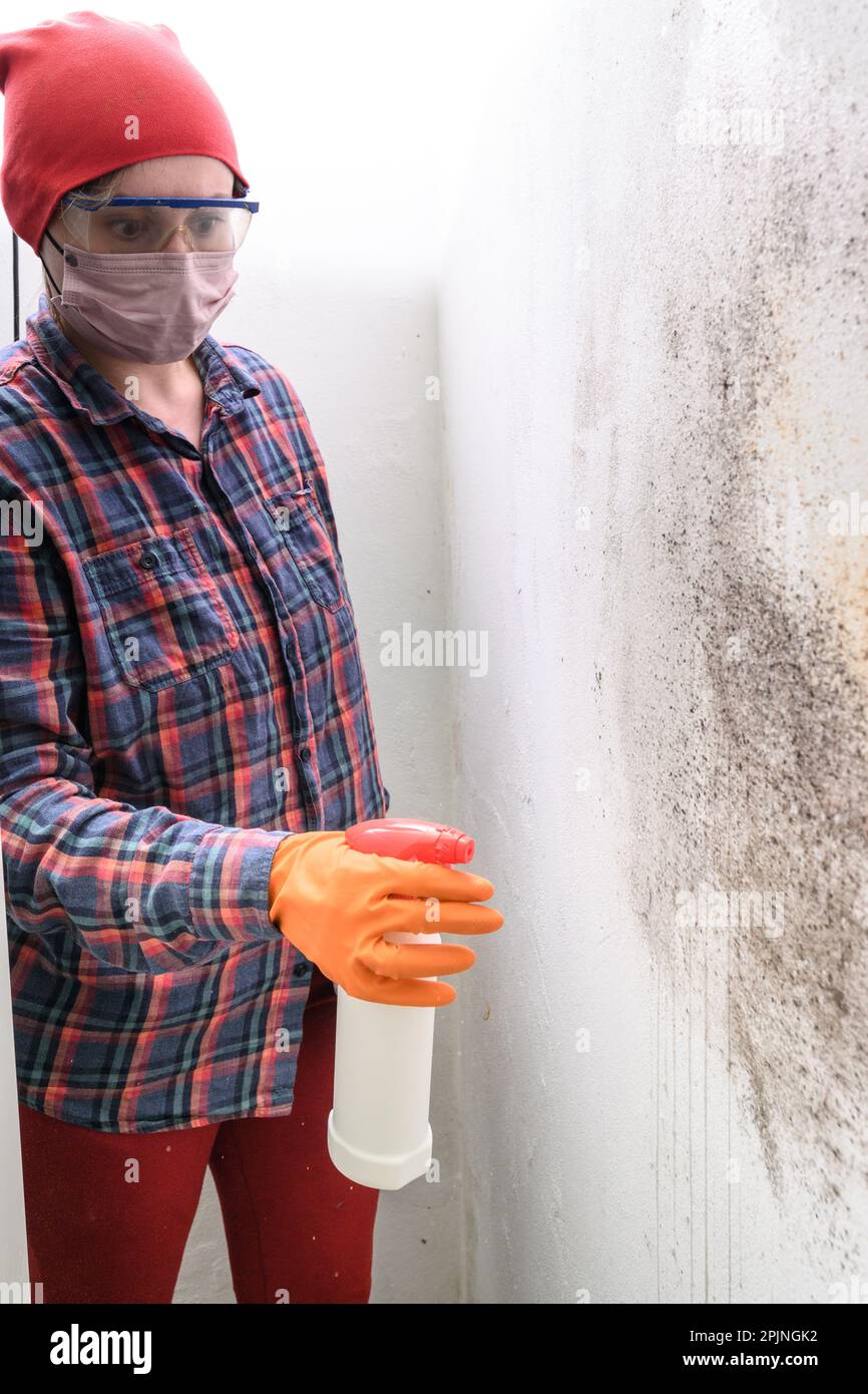 A woman sprays a mold remedy on a wall, removing mold at home, a woman ...