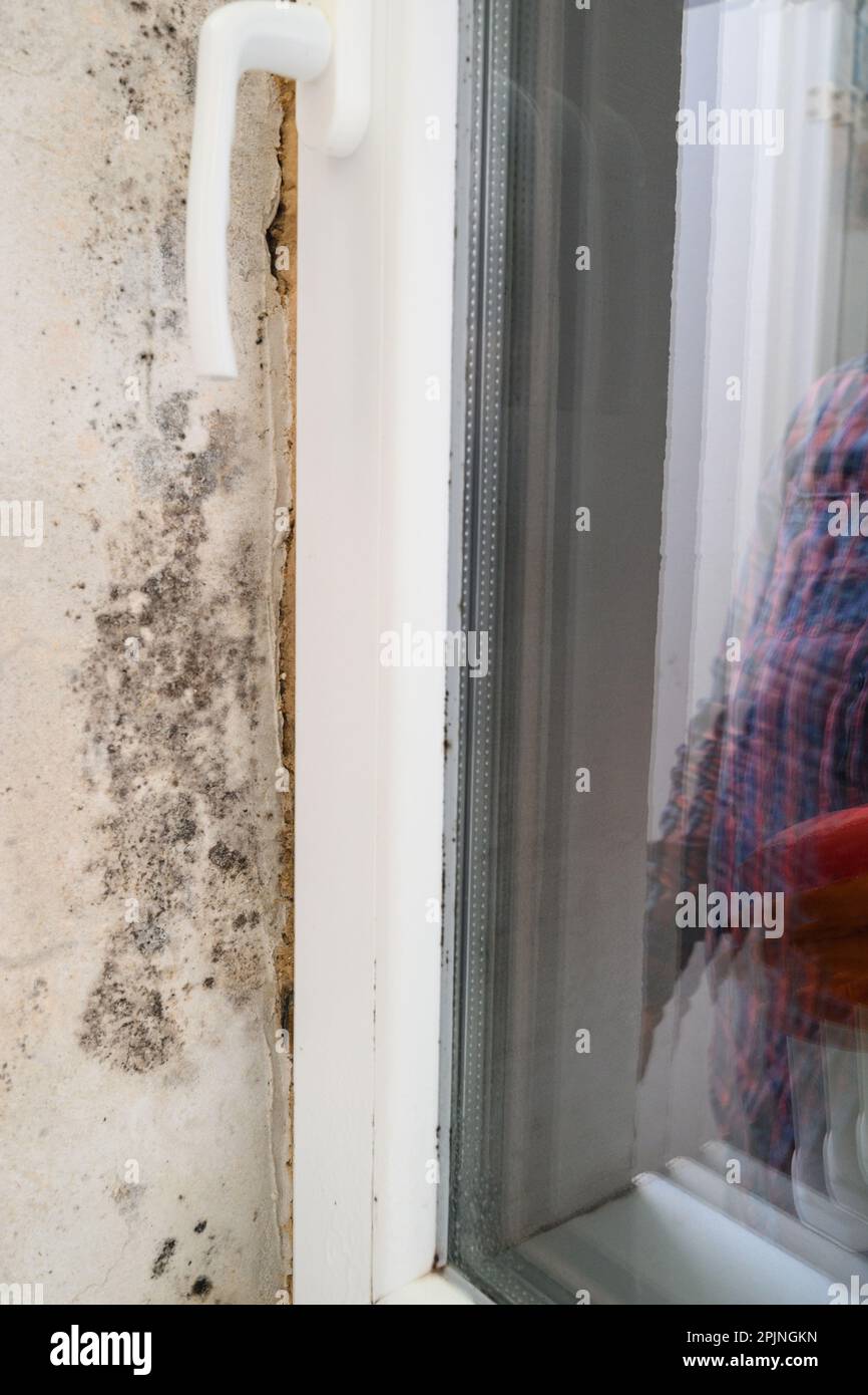 Mold in the corner of the window and on the window, dangerous and ...