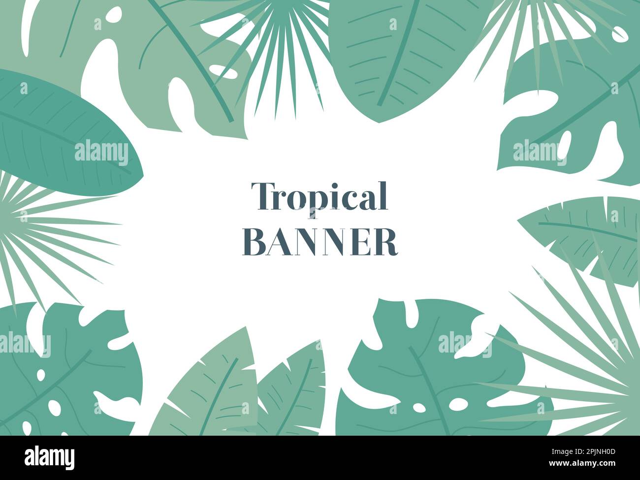 Tropical banner with palm, monstera, banana leaves. Tropical leaf ...
