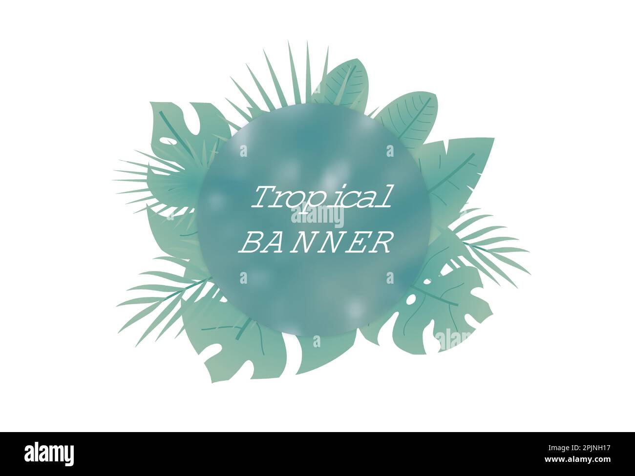Tropical banner with palm leaves. Glass morphism style banner. Tropical ...