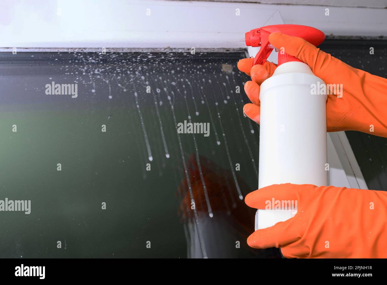 Harmful molds hi-res stock photography and images - Alamy
