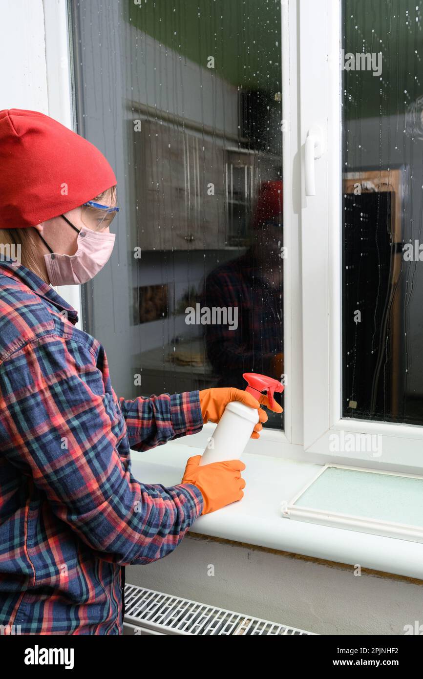 Spraying the drug against harmful mold in the house on the windows, the ...