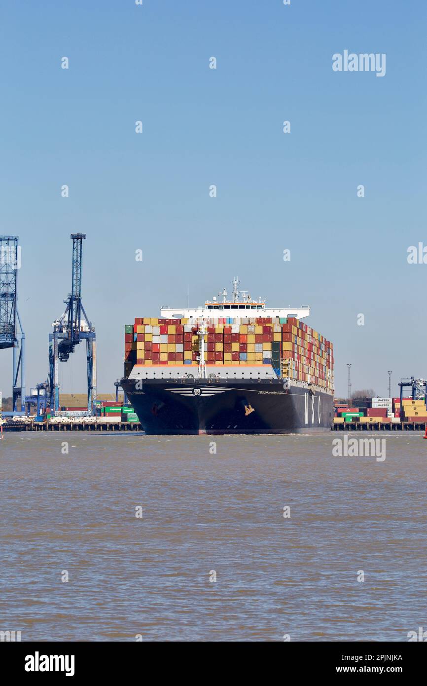 Container ship MSC London berthing at the Port of Felixstowe Suffolk UK ...