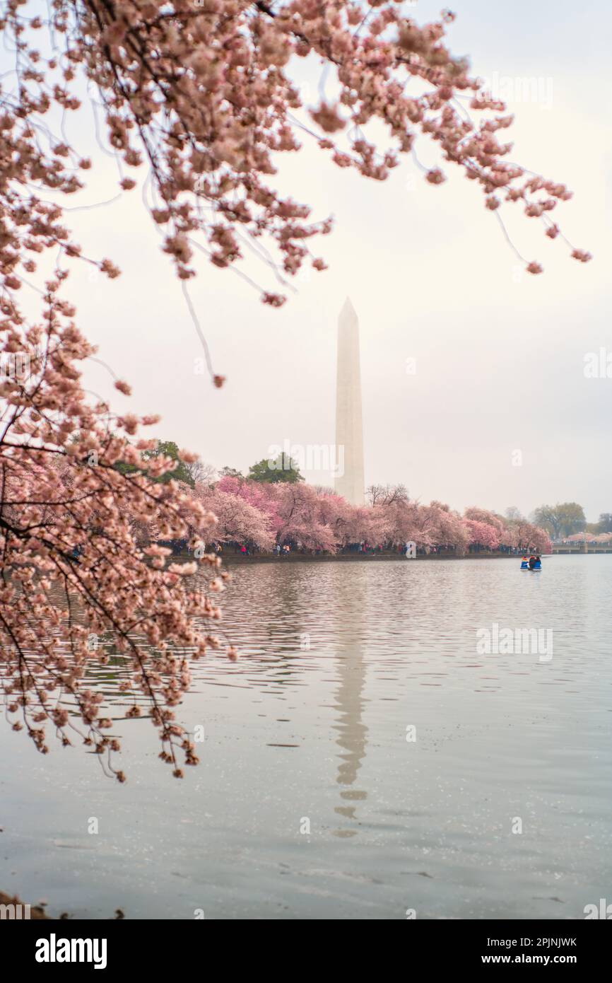 Washington dc duck boat hi-res stock photography and images - Alamy
