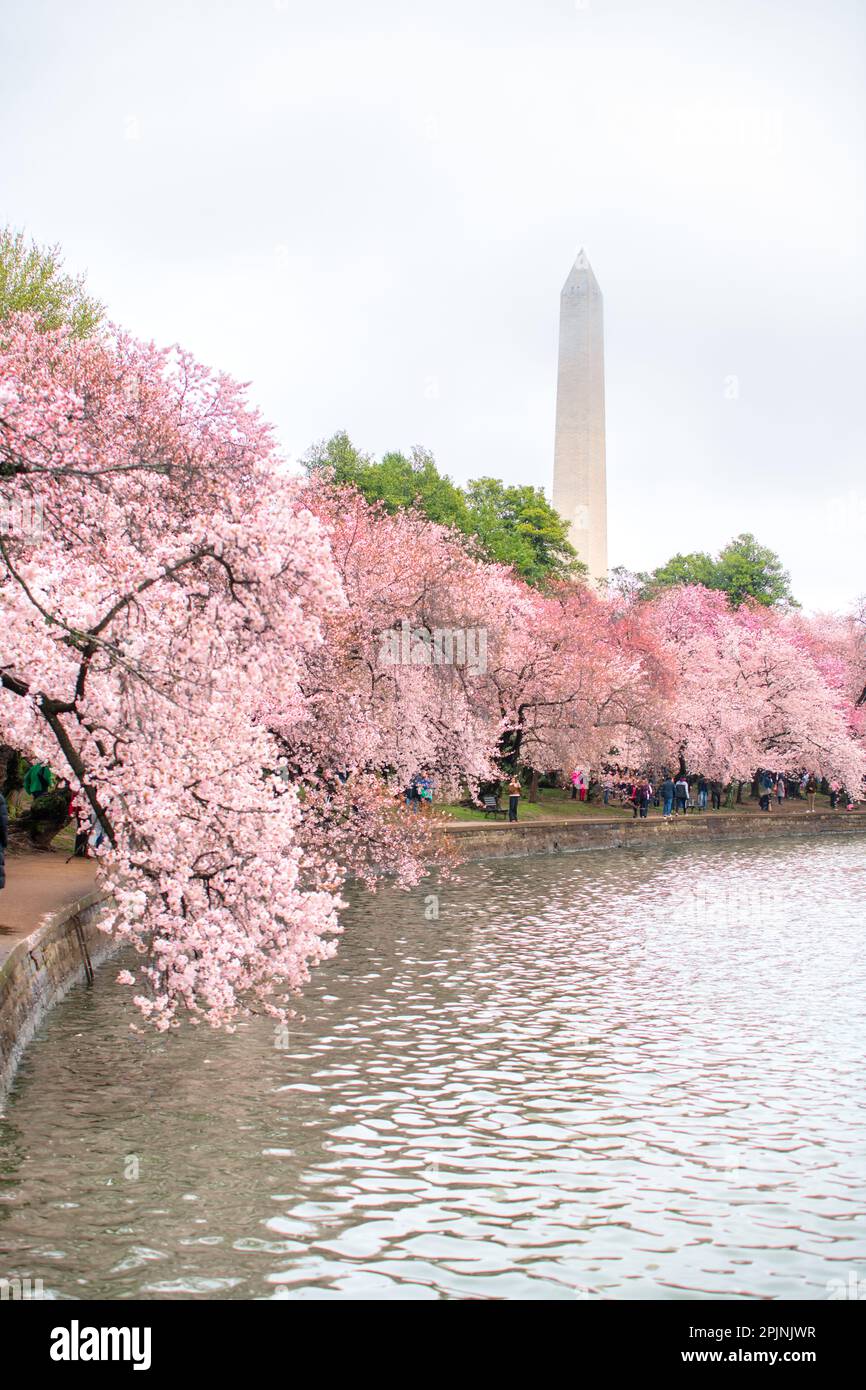 Washington dc duck boat hi-res stock photography and images - Alamy